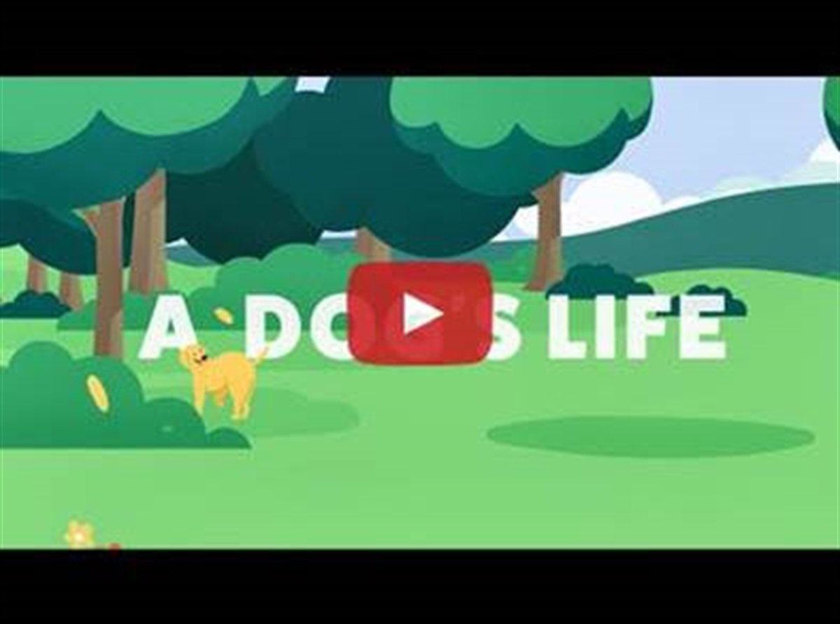 A Dog's Life Video - City of Burnside